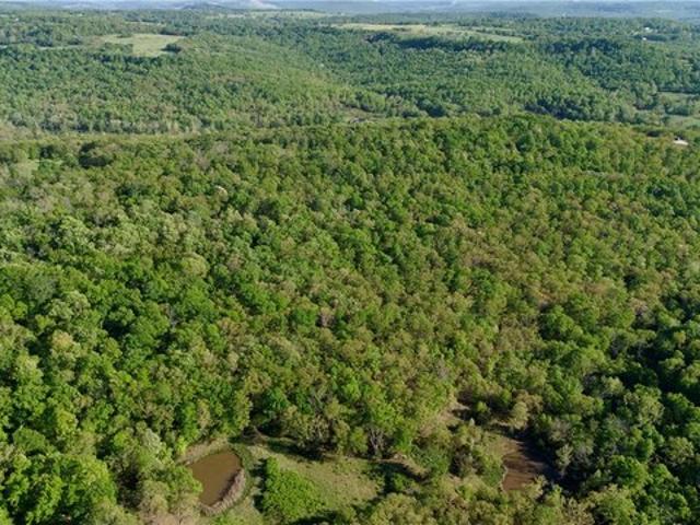 County Road 7670, Hindsville, AR 72738