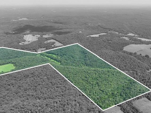 County Road 76 225, Ava, MO 65608