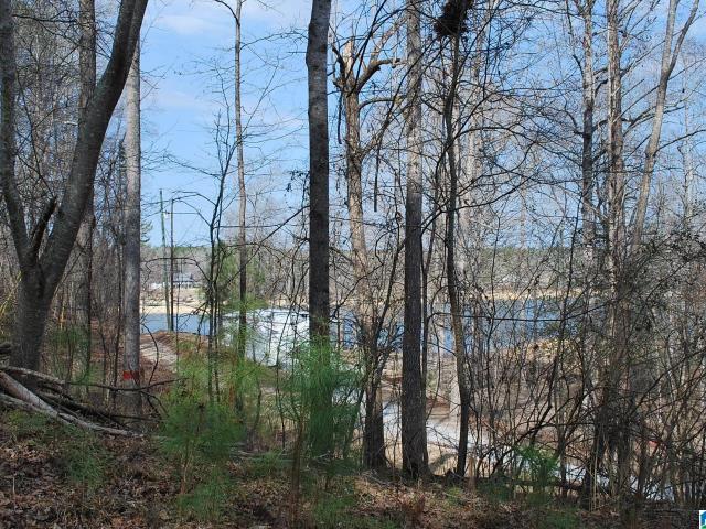 County Road 8023 # 8 acres