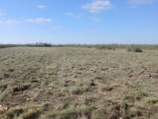 County Road 807, Angleton, TX 77515