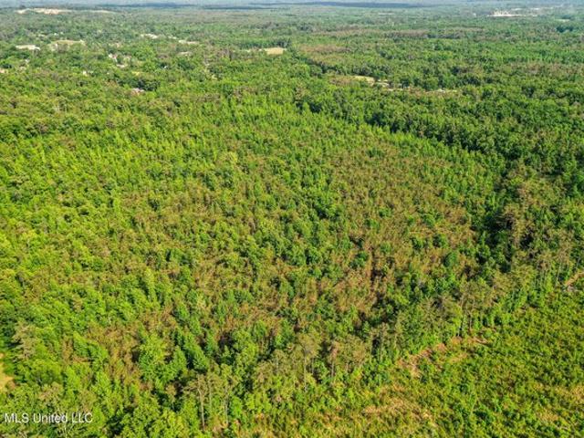 County Road 816, Blue Mountain, MS 38610