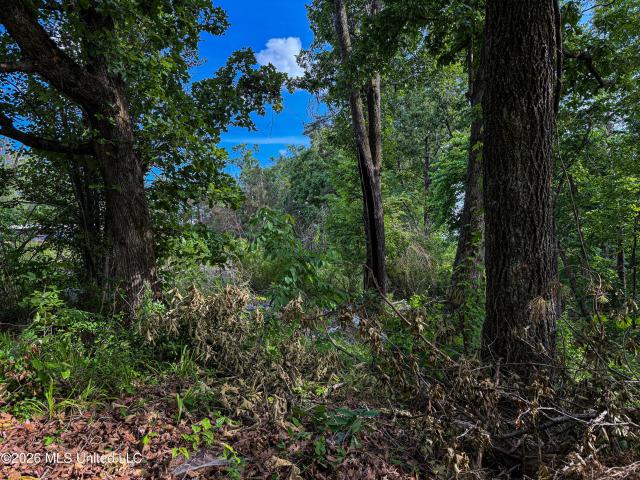 County Road 816, Blue Mountain, MS 38610