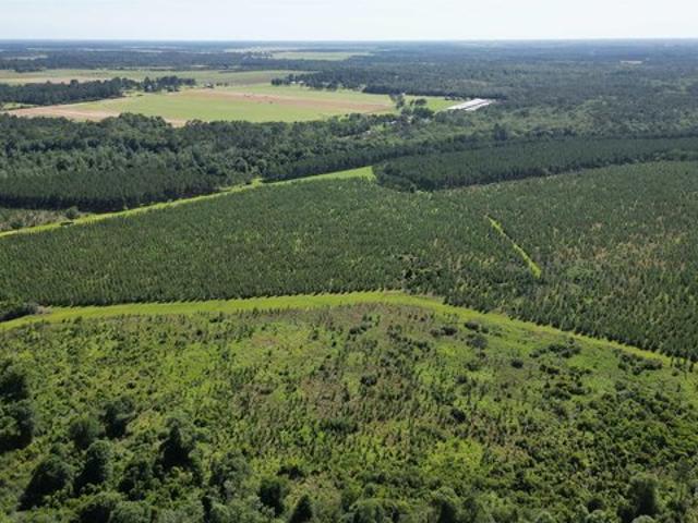 County Road 87, Elberta, AL 36530