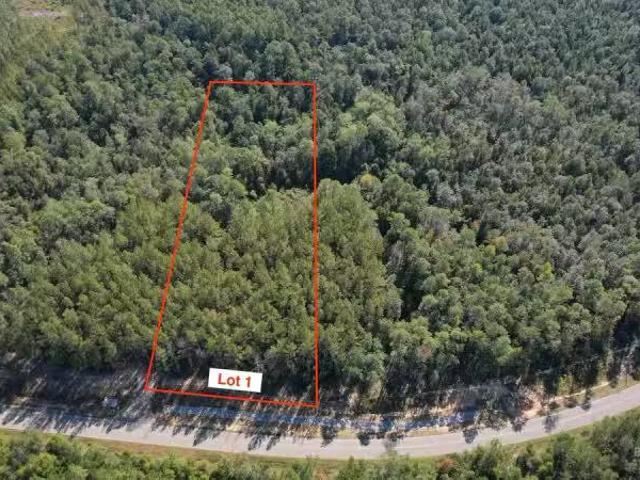 County Road 87, Robertsdale, AL 36567