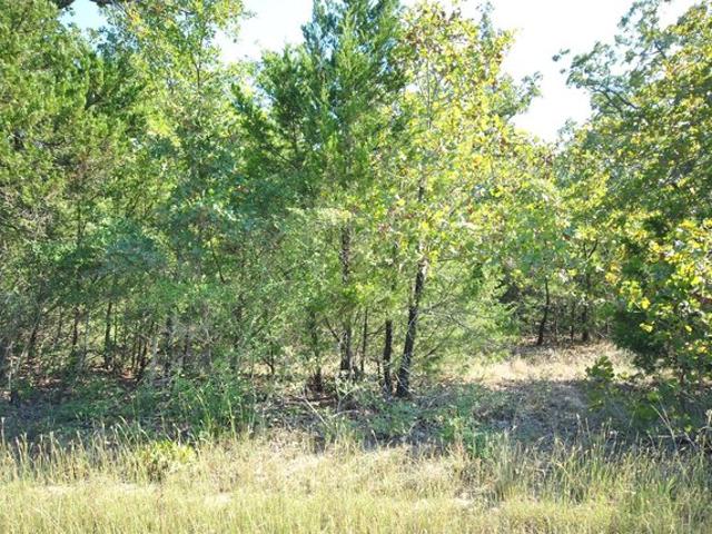 County Road 894 Dr Lot 76, Jewett, TX 75846