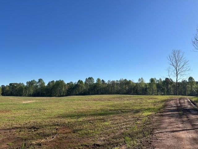 County Road 89 N, Camp Hill, AL 36850