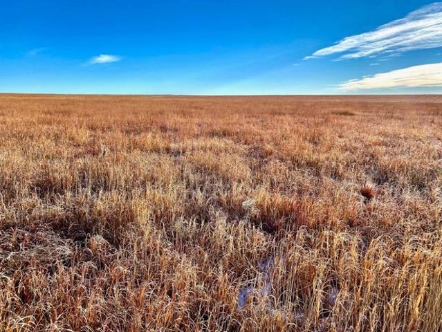 County Road 8, Coolidge, KS 67836