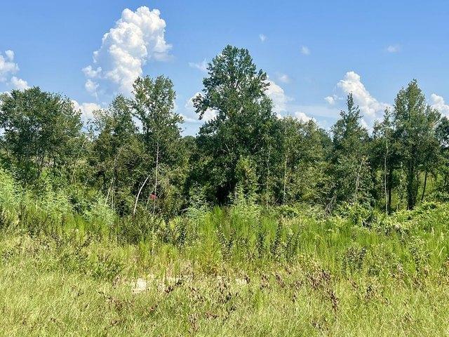 County Road 8, Vossburg, MS 39366