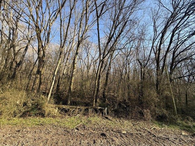 County Road 91, Bryant, AL 35958