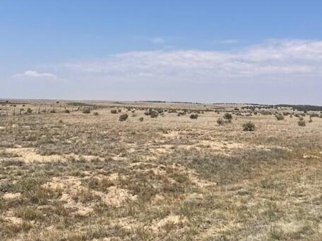County Road 939, Tyrone, CO