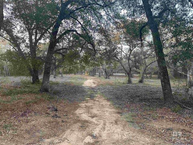 County Road 99, Lillian, AL 36549