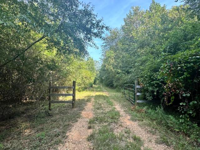 County Road 9, Millport, AL 35576