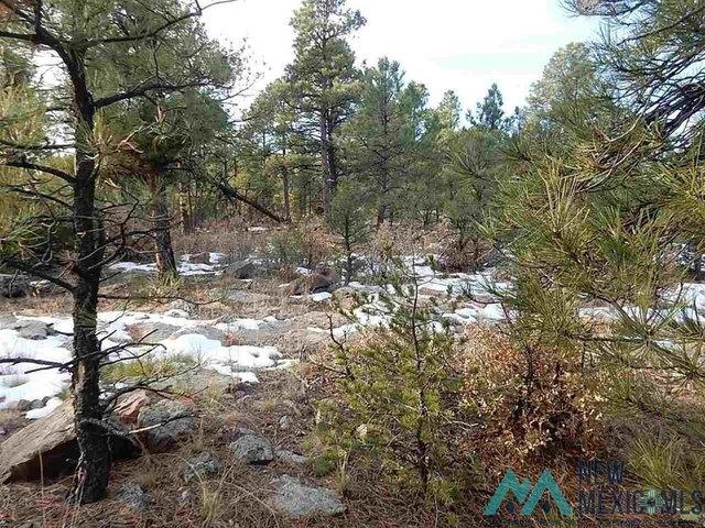 County Road 13, Buena Vista, NM 87712