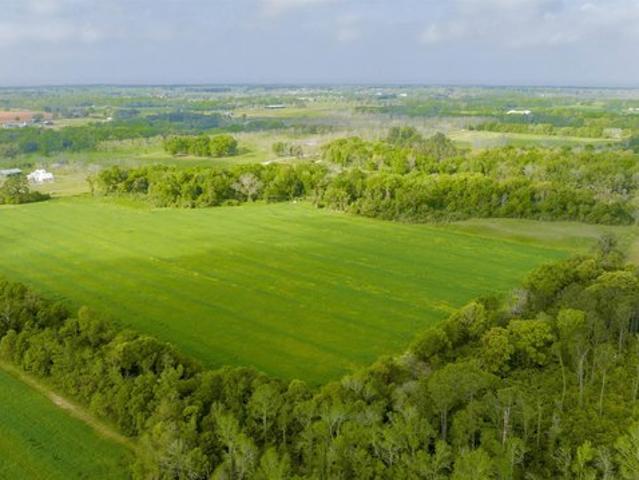 County Road 13, Fairhope, AL 36532