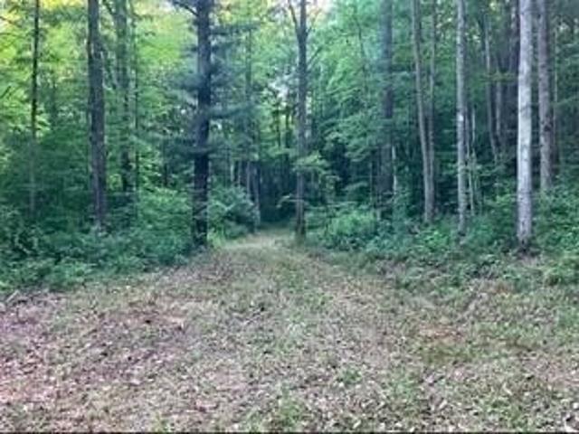 County Road 13, NY 14889