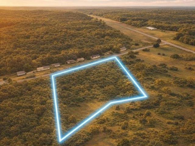 County Road 100, Gainesville, AL 35464