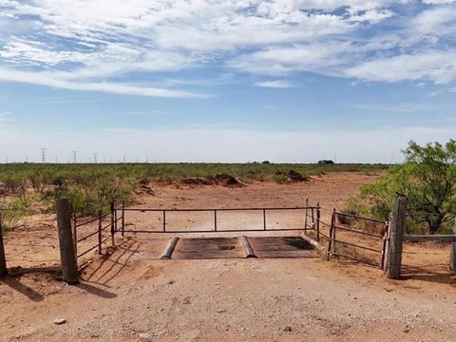County Road 103, Midland, TX 79706