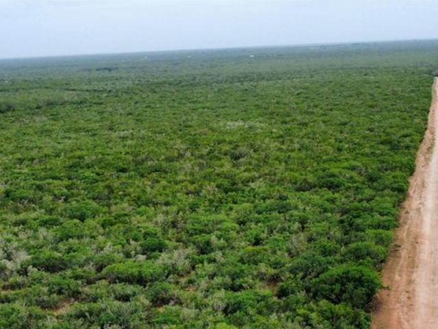 County Road 103, San Diego, TX 78384