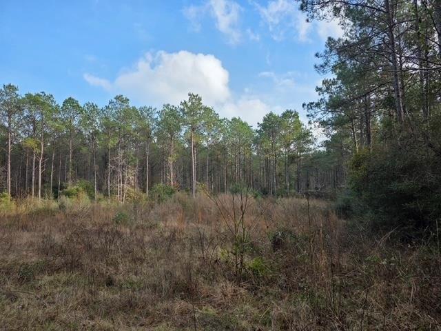 County Road 1051, Wiergate, TX 75977