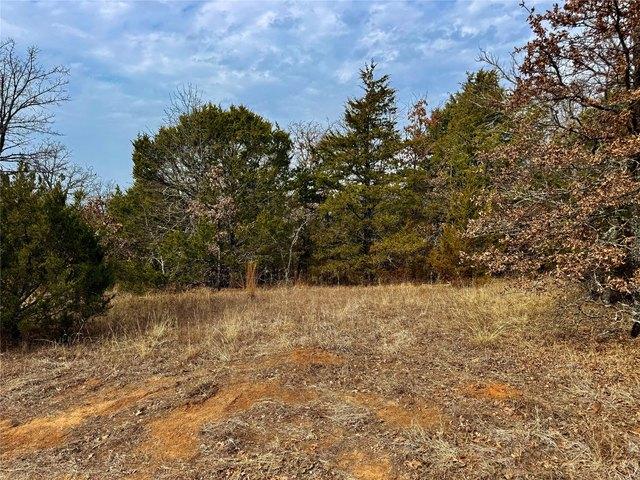 County Road 106, Whitesboro, TX 76273