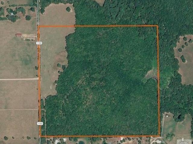 County Road 1102, Maud, TX 75505