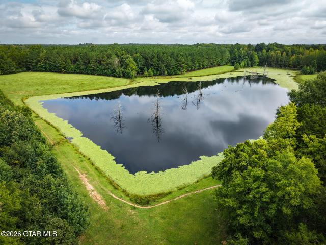 County Road 110, Houston, MS 38851