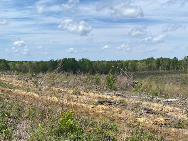 County Road 1115, Kosciusko, MS 39090