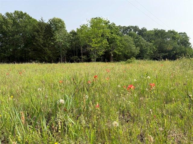 County Road 1130, Cumby, TX 75453
