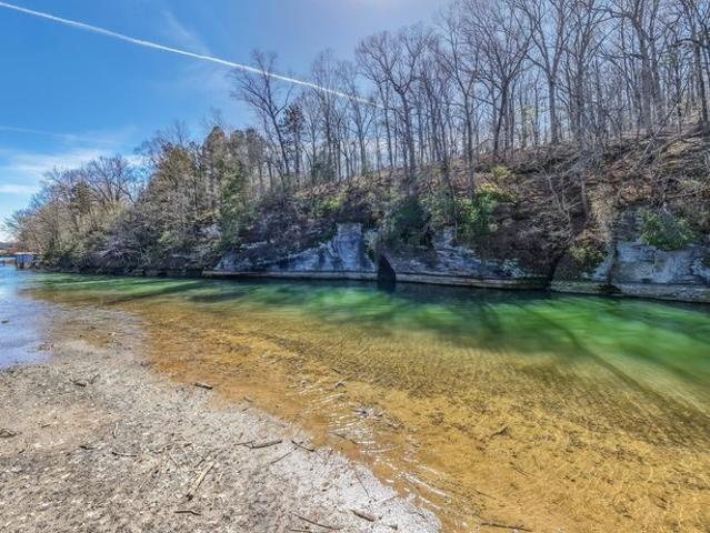 County Road 113, Rogersville, AL 35652