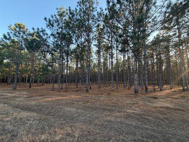 County Road 1166, Troy, AL 36079
