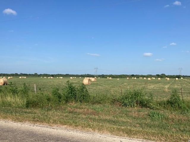 County Road 117, Floresville, TX 78114