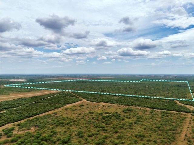 County Road 119, Alice, TX 78332