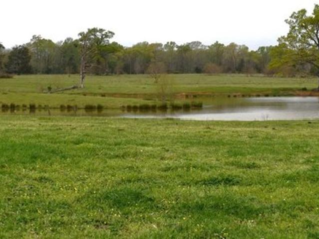 County Road 121, Carthage, TX 75692
