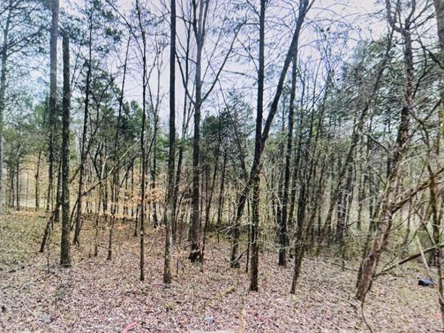 County Road 121, Athens, TN 37303