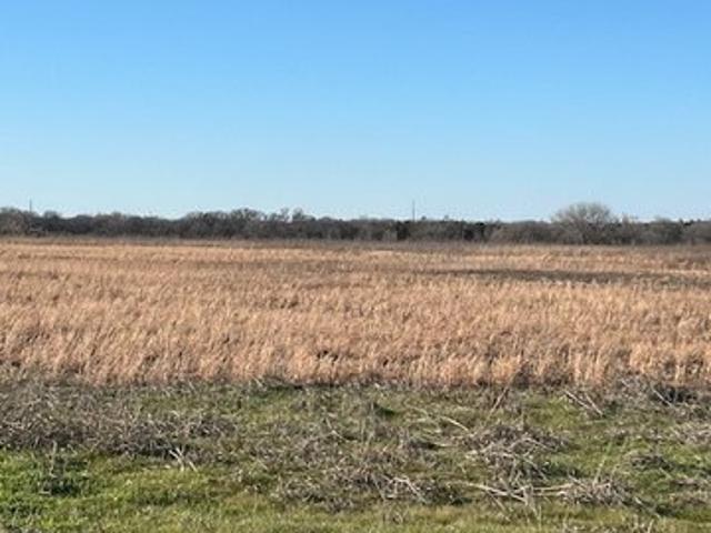 County Road 1240, Savoy, TX 75479
