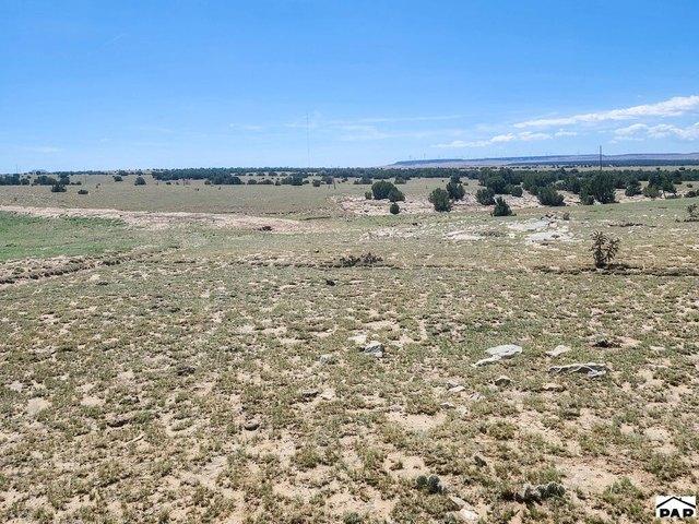 County Road 124, Walsenburg, CO 81089