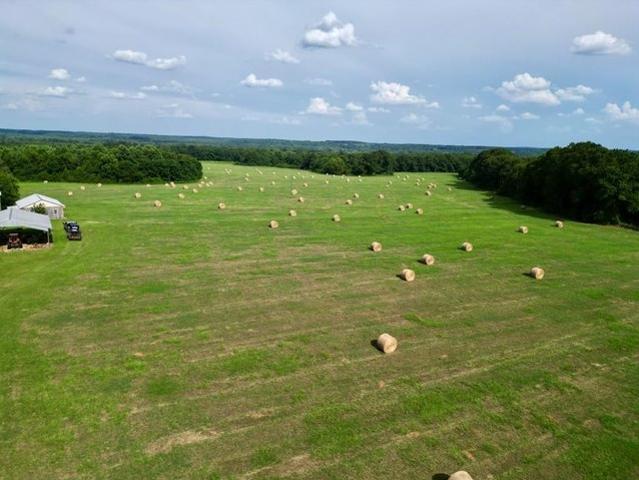County Road 127, Banks, AL 36005