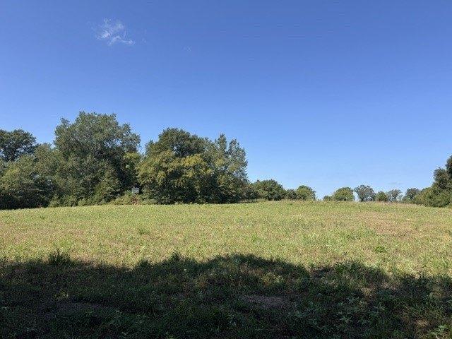 County Road 1300, Emory, TX 75440