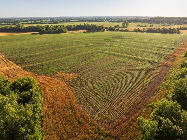 County Road 130, Braymer, MO 64624