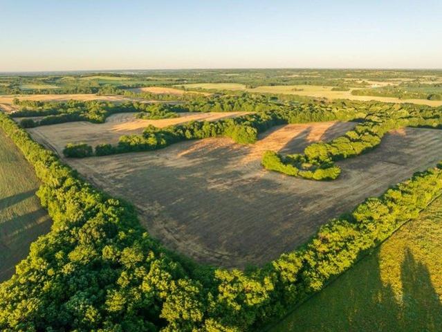 County Road 130 Rd, Braymer, MO 64622