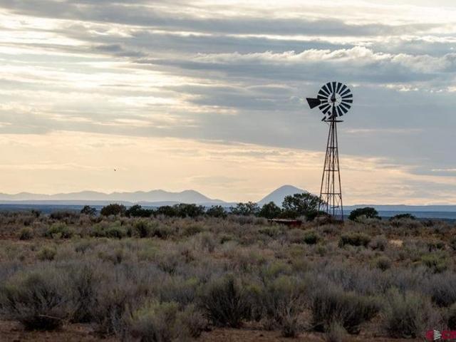 County Road 131, Hesperus, CO 81326