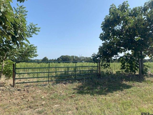 County Road 1323, Pittsburg, TX 75686