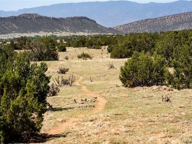 County Road 132, Penrose, CO 81240