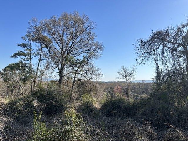 County Road 135, Stevenson, AL 35772