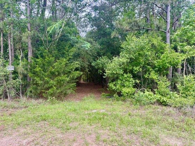 17 Acres County Road 1375, Warren, TX 77664
