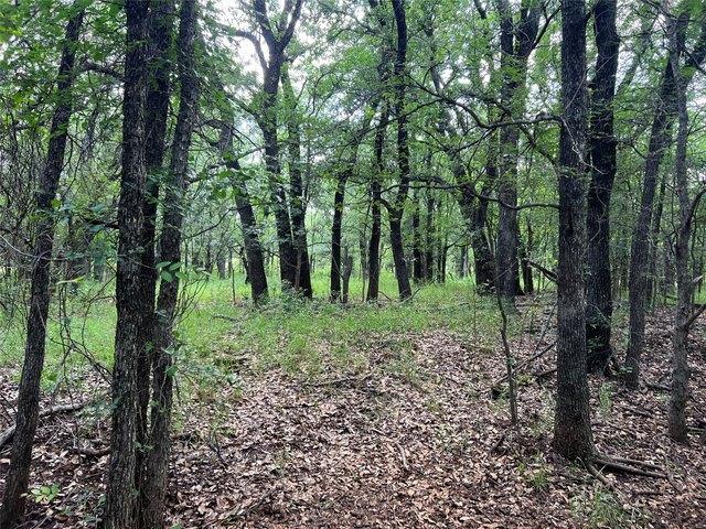 County Road 137, Cisco, TX 76437