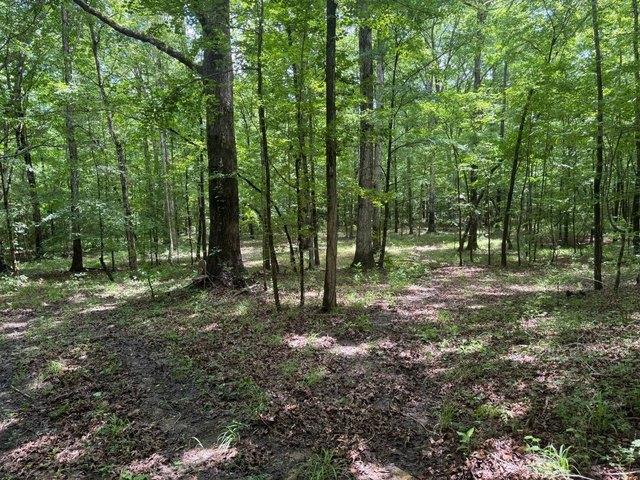 County Road 17, Tuskegee, AL 36083