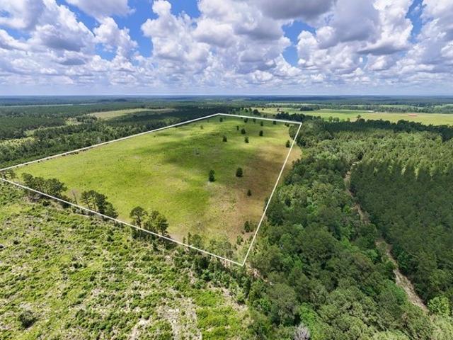 County Road 1450, Warren, TX 77664