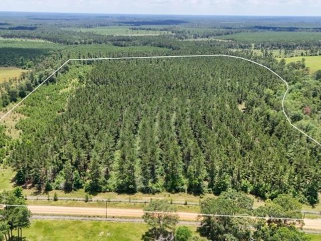 County Road 1450, Warren, TX 77664