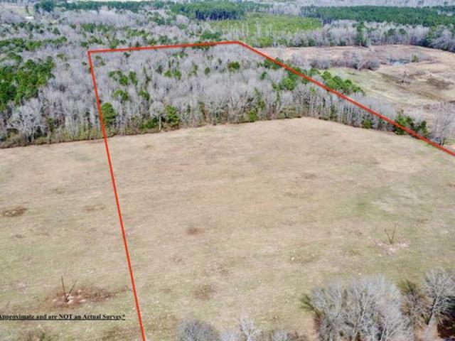 County Road 1460, Linden, TX 75563